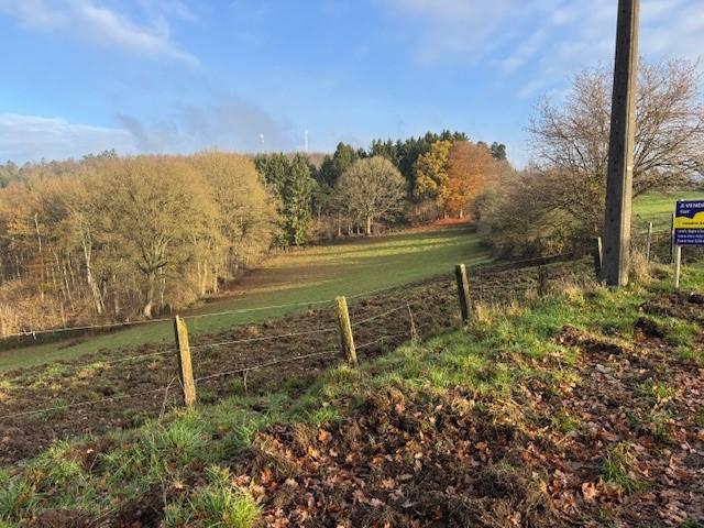 Terrain à vendre à Stoumont (ref : 290320)