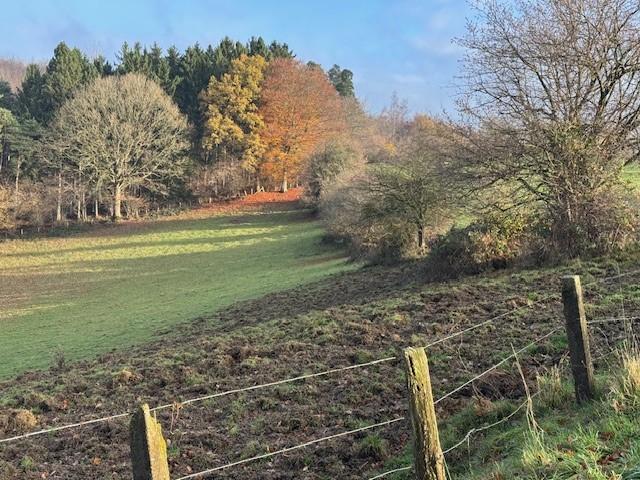 Terrain à vendre à Stoumont (ref : 290320)